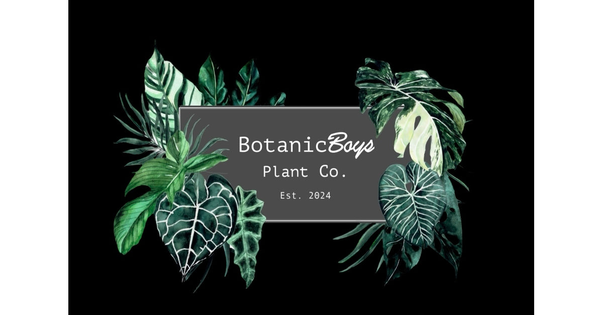 BotanicBoys Plant Co.